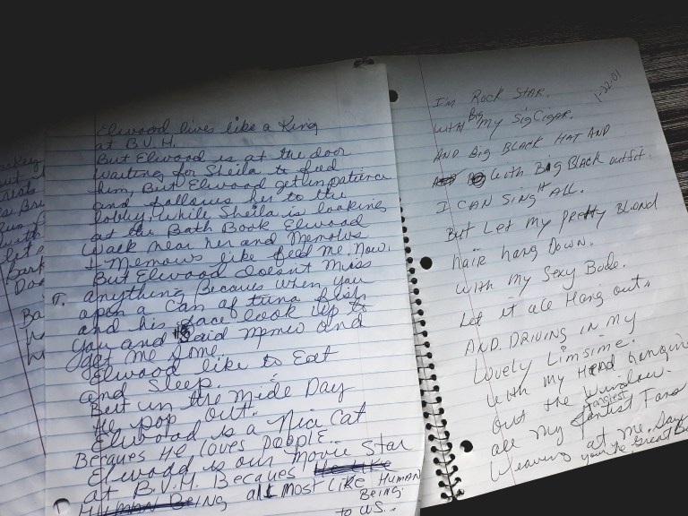 Writing Poetry with Maria – The Second Chance Writer